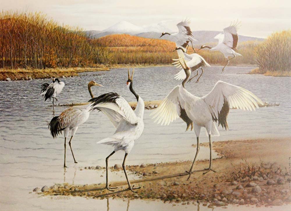 Owen Gromme—Tancho Sacred Cranes – Racine Art Museum Store