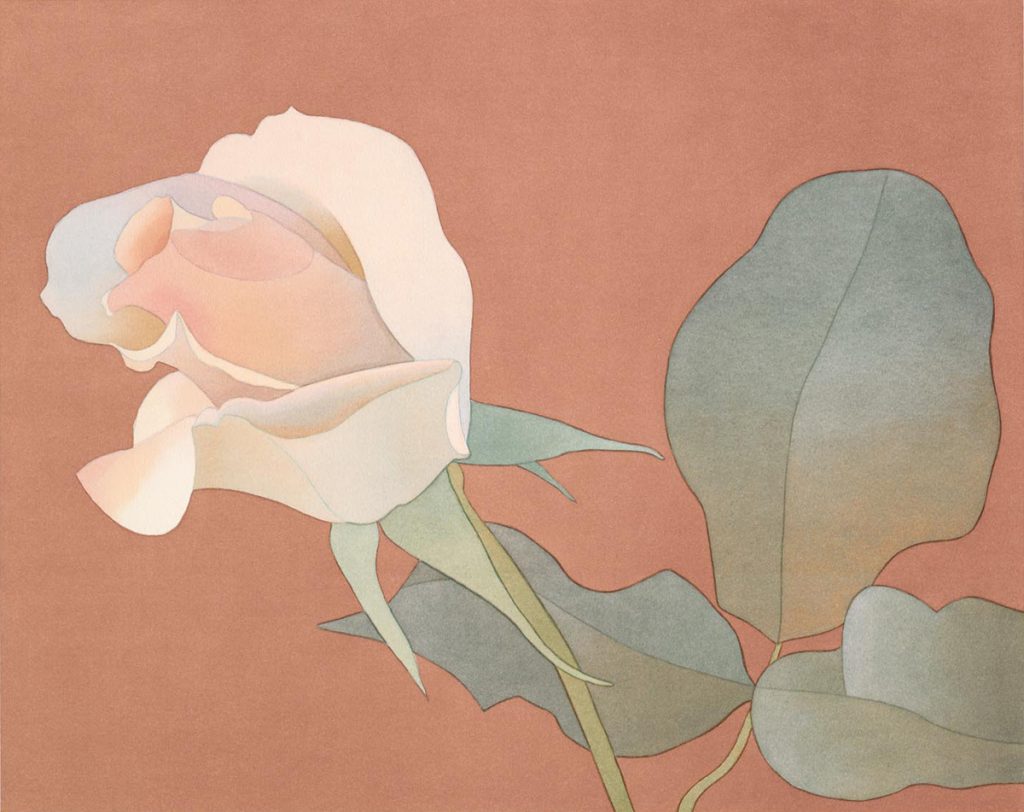 Mark Adams—Ivory Rose – Racine Art Museum Store
